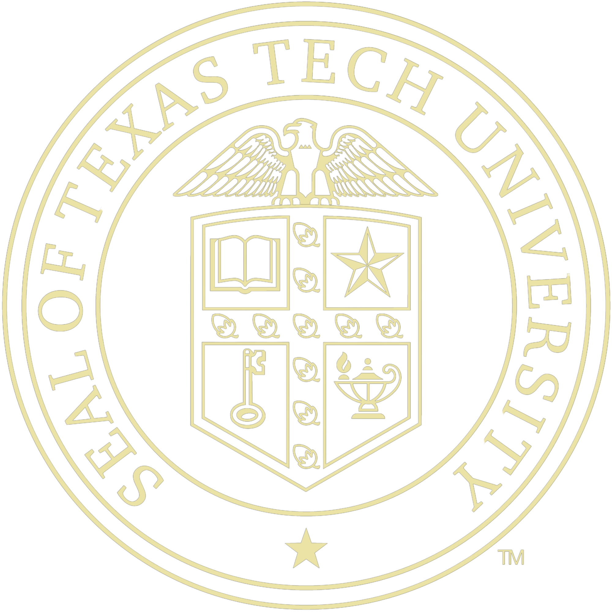 Texas Tech University Doctoral Regalia Set includes Doctoral Gown, Tam ...