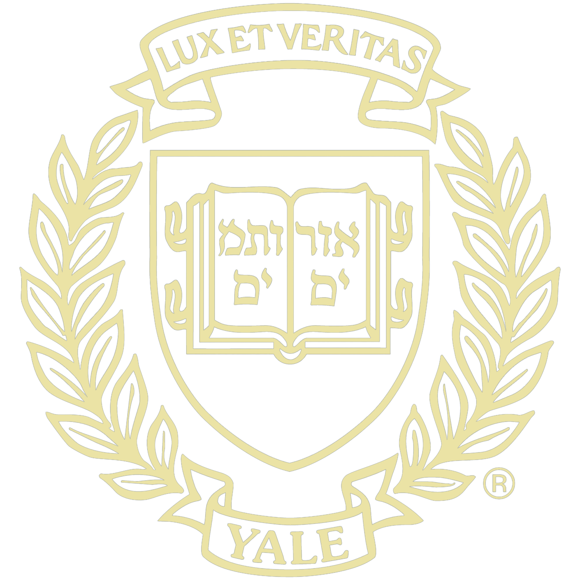 Yale University Medallion Diploma Frame – CAPGOWN